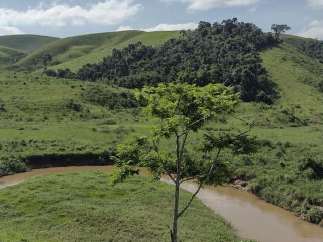 Fazenda para venda em Centro, Arapeí