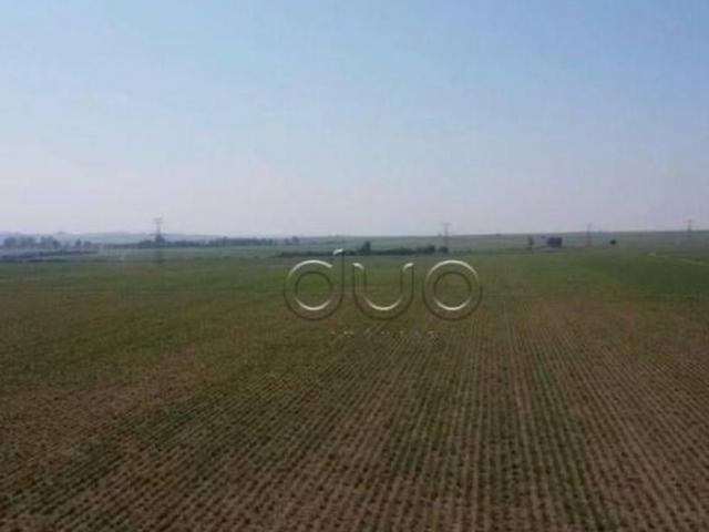 Fazenda para venda em Centro Ártemis, Piracicaba