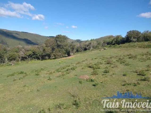 Fazenda para venda em Centro, Barão do Triunfo