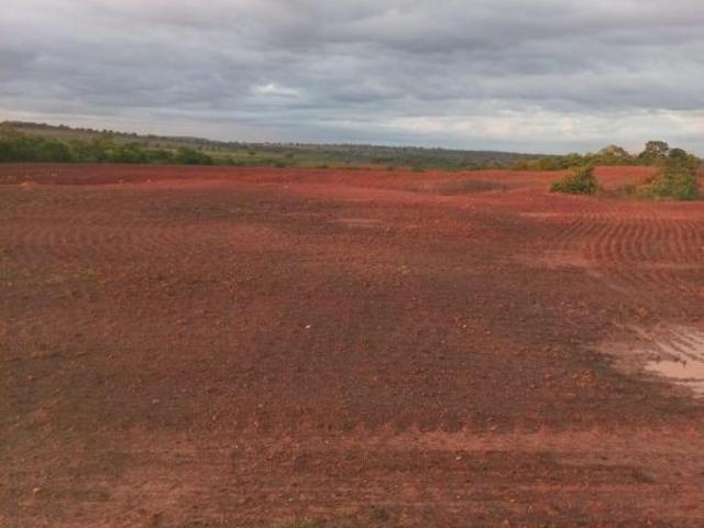 Fazenda para venda em Centro, Barra do Garças