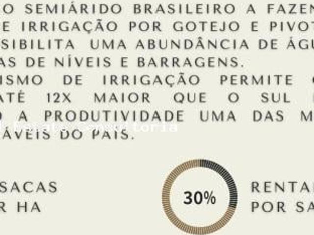Fazenda para venda em Centro, Berizal