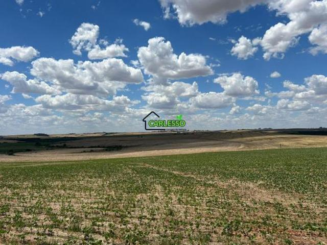 Fazenda para venda em Centro, Boa Vista do Incra