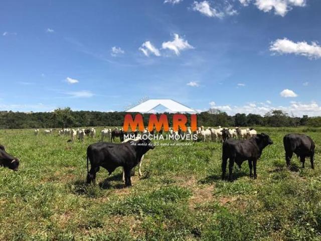 Fazenda para venda em Centro, Bom Despacho