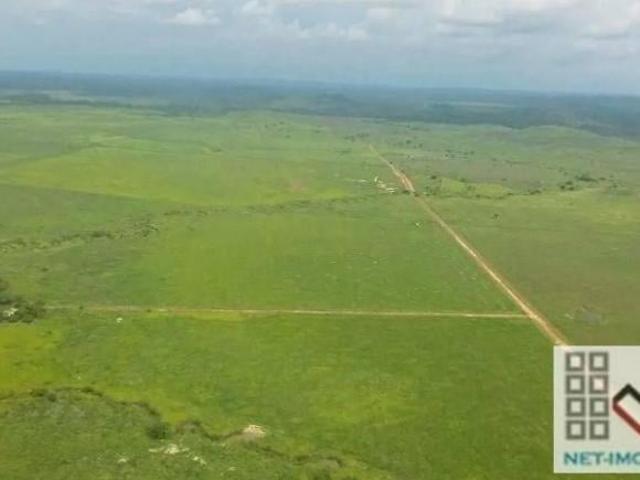 Fazenda para venda em Centro, Bom Jesus do Araguaia