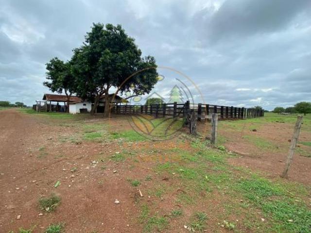 Fazenda para venda em Centro, Bom Jesus do Araguaia