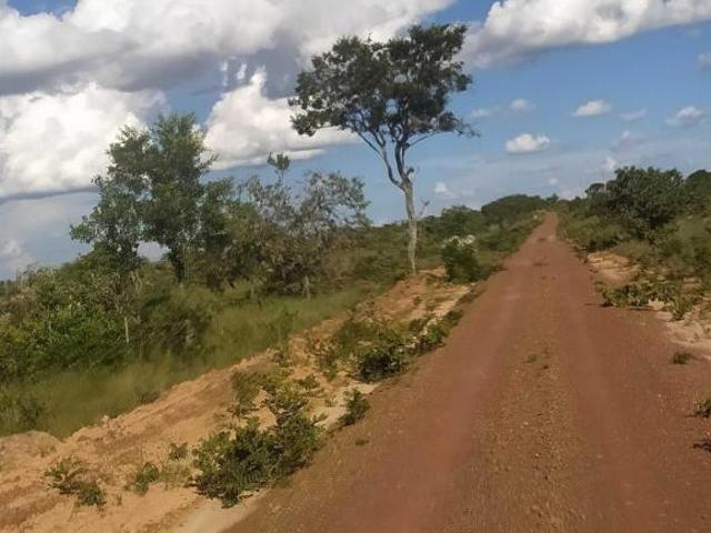 Fazenda para venda em Centro, Bonfinópolis de Minas