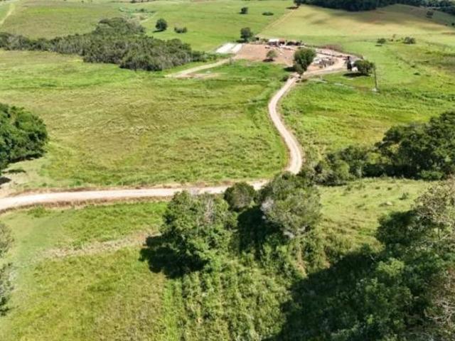 Fazenda para venda em Centro, Borda da Mata