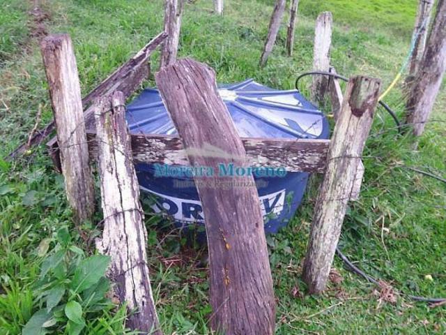 Fazenda para venda em Centro, Borda da Mata