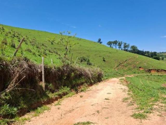 Fazenda para venda em Centro, Borda da Mata
