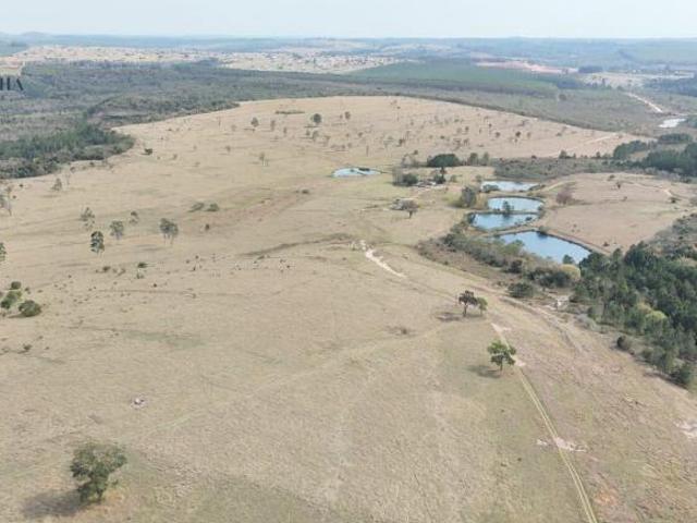 Fazenda para venda em Centro, Botucatu