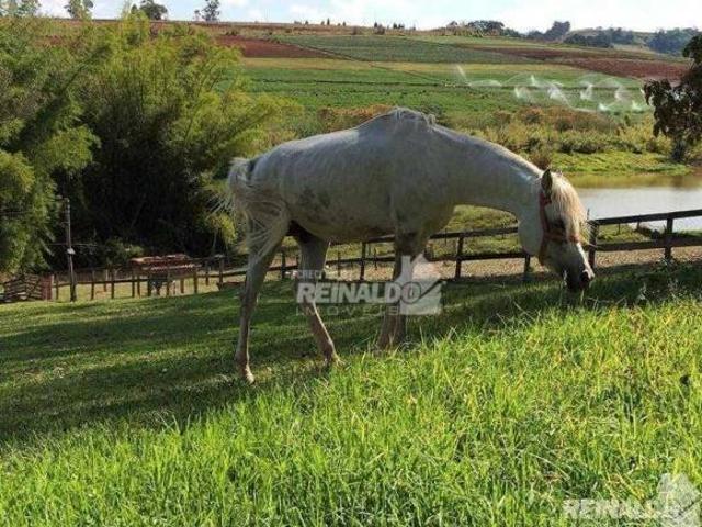 Fazenda para venda em Centro, Bragança Paulista