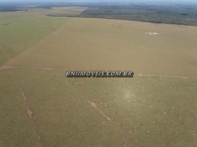 Fazenda para venda em Centro, Brasnorte