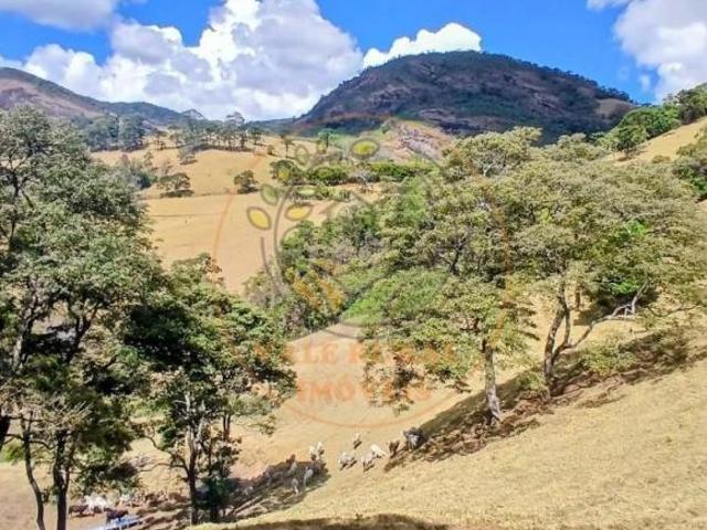 Fazenda para venda em Centro, Brazópolis