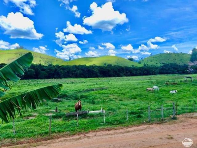 Fazenda para venda em Centro, Cunha
