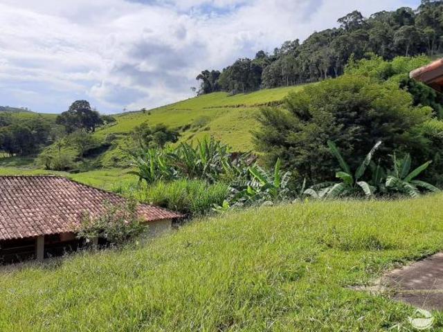 Fazenda para venda em Centro, Cunha