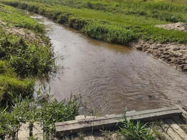 Fazenda para venda em Centro, Cunha