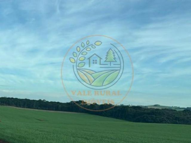 Fazenda para venda em Centro, Curitiba