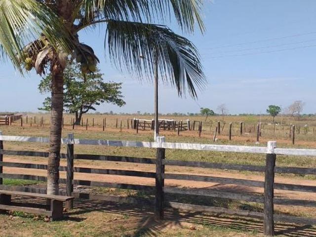 Fazenda para venda em Centro, Cáceres