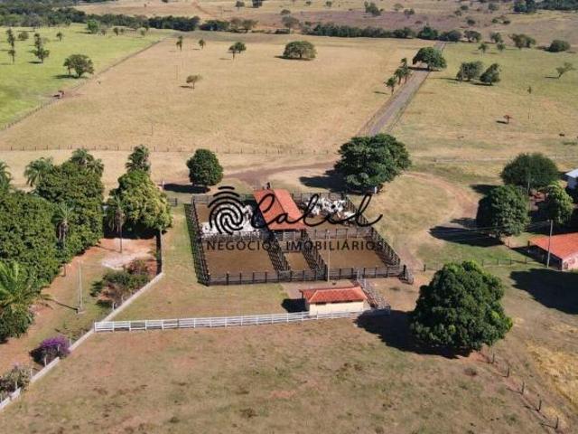 Fazenda para venda em Centro, Cachoeira Alta