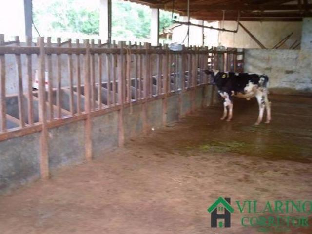 Fazenda para venda em Centro, Caetanópolis