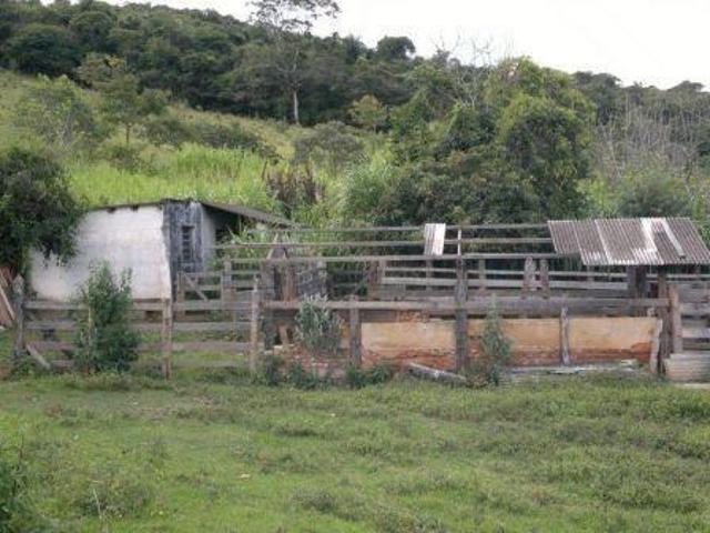 Fazenda para venda em Centro, Caeté