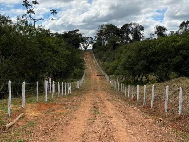 Fazenda para venda em Centro, Caeté