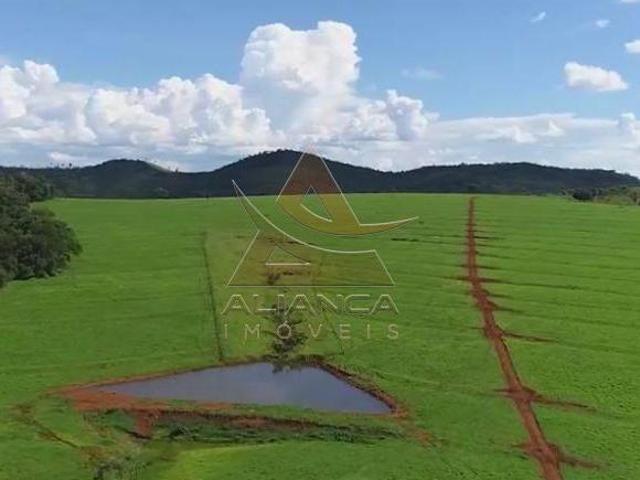 Fazenda para venda em Centro, Caiapônia