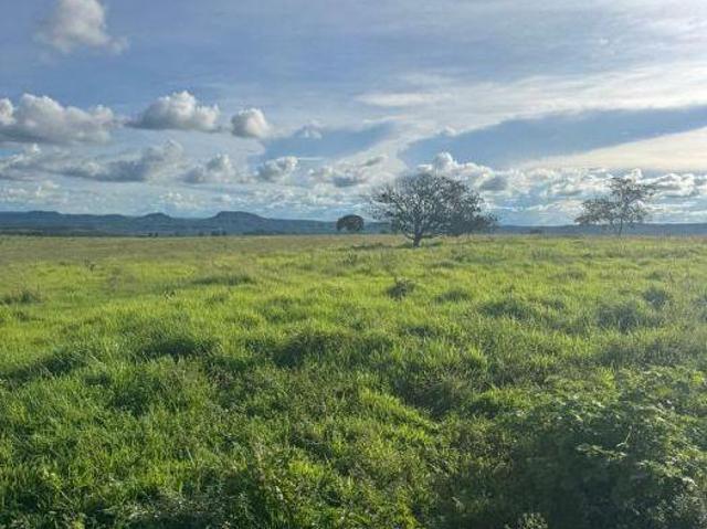 Fazenda para venda em Centro, Caiapônia
