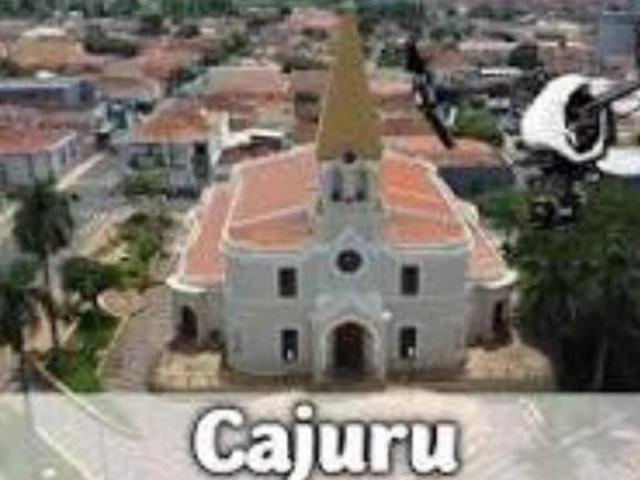 Fazenda para venda em Centro, Cajuru