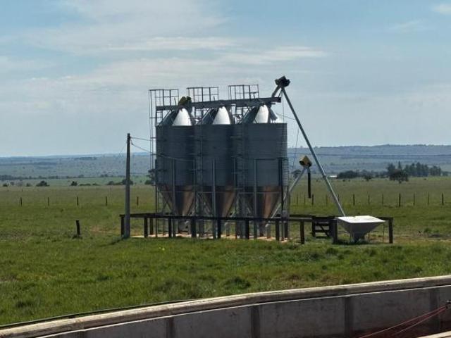 Fazenda para venda em Centro, Camapuã