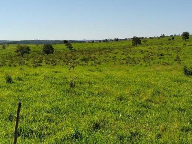 Fazenda para venda em Centro, Camapuã