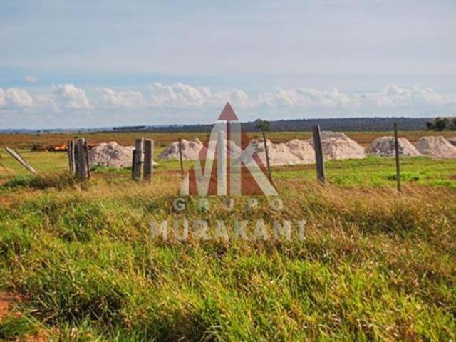 Fazenda para venda em Centro, Camapuã