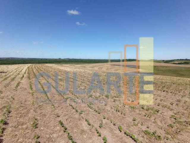 Fazenda para venda em Centro, Camaquã