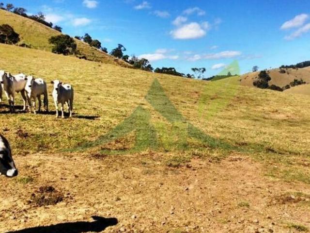 Fazenda para venda em Centro, Cambuí