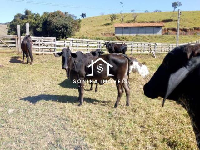 Fazenda para venda em Centro, Cambuí