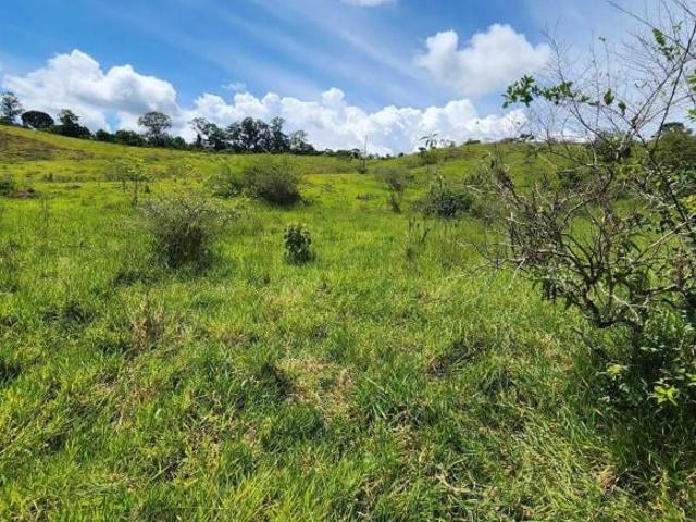 Fazenda para venda em Centro, Campanha