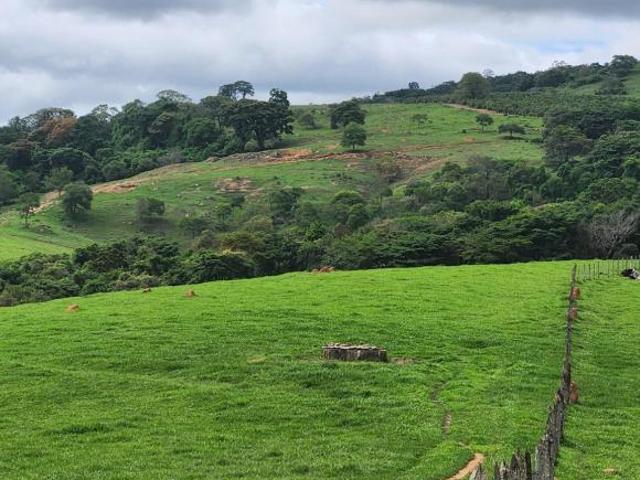 Fazenda para venda em Centro, Campanha