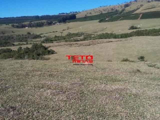 Fazenda para venda em Centro, Campanha