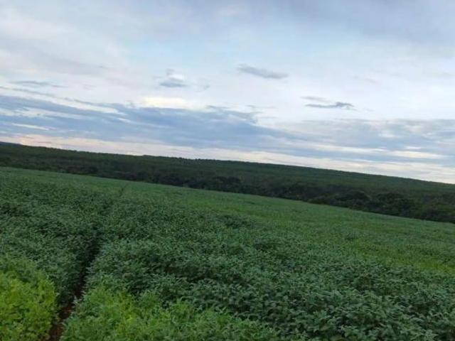 Fazenda para venda em Centro, Campina Verde