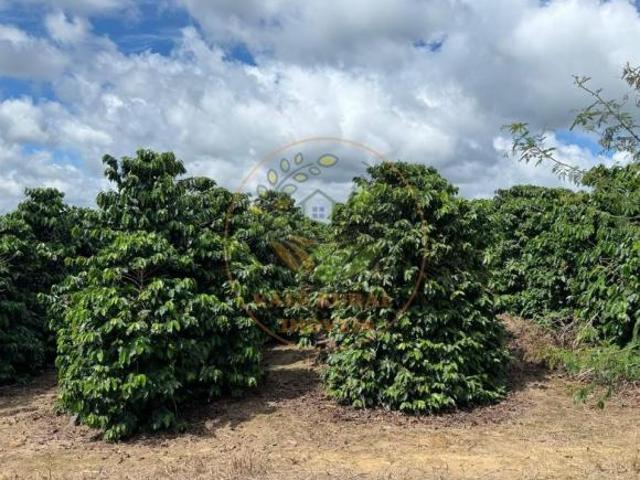 Fazenda para venda em Centro, Campos Altos