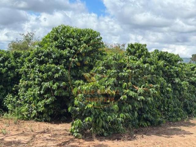 Fazenda para venda em Centro, Campos Altos