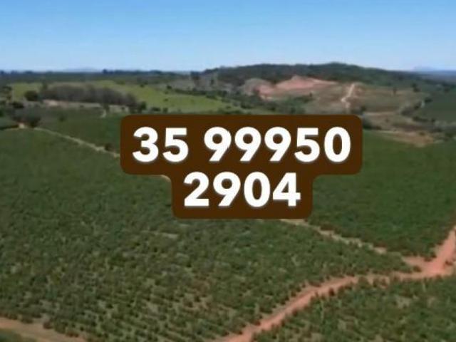 Fazenda para venda em Centro, Campos Gerais