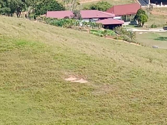 Fazenda para venda em Centro, Canas