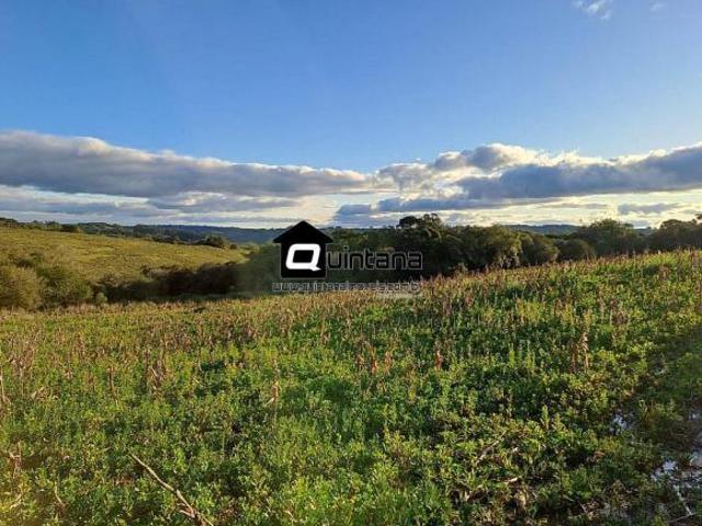 Fazenda para venda em Centro, Canguçu