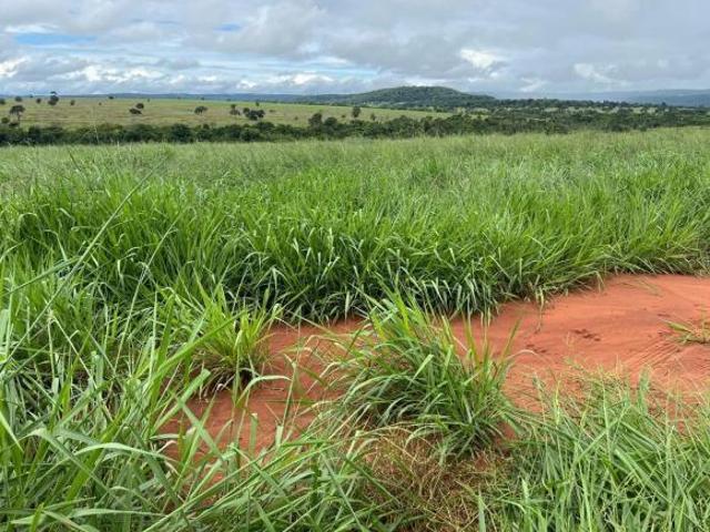 Fazenda para venda em Centro, Cassilândia