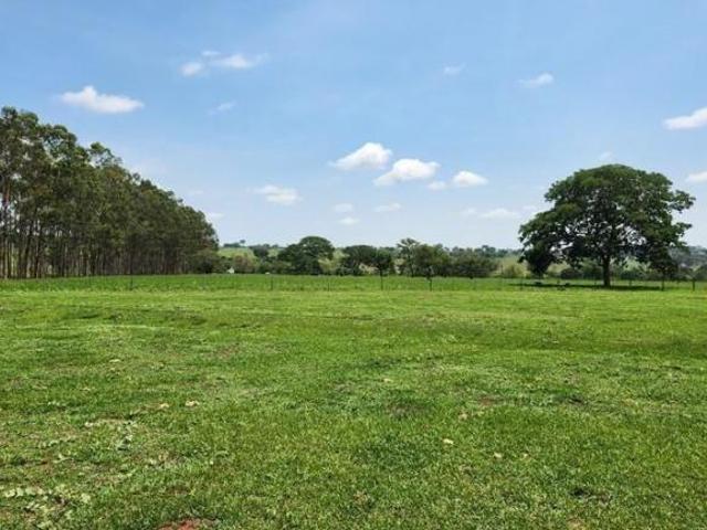 Fazenda para venda em Centro, Cassilândia
