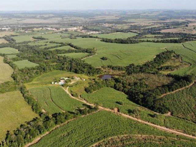 Fazenda para venda em Centro, Capela do Alto
