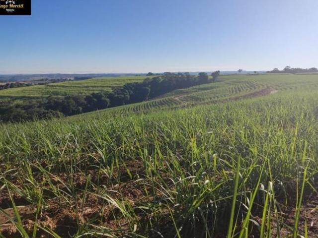 Fazenda para venda em Centro, Capela do Alto