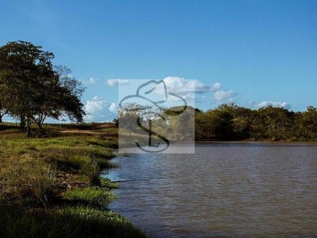 Fazenda para venda em Centro, Capitão Enéas