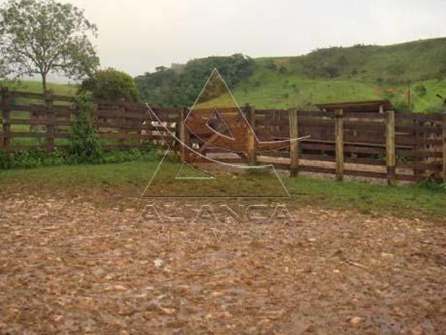Fazenda para venda em Centro, Capitólio